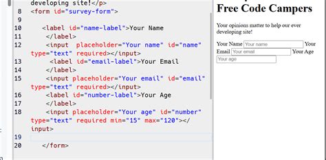 Build A Survey Form The Freecodecamp Forum