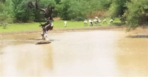 Lac Du Village Dioly Appelé Belel Dioly Album On Imgur