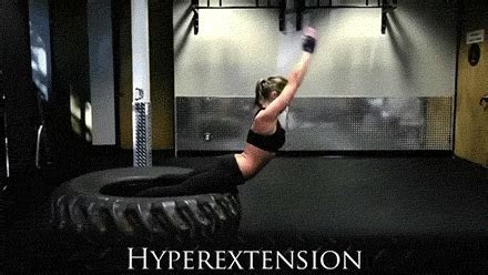 Workout Diagrams Workoutdiagrams Tumblr Blog Tumlook