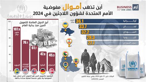أين تذهب أموال مفوضية الأمم المتحدة لشؤون اللاجئين في 2024؟ إرم بزنس