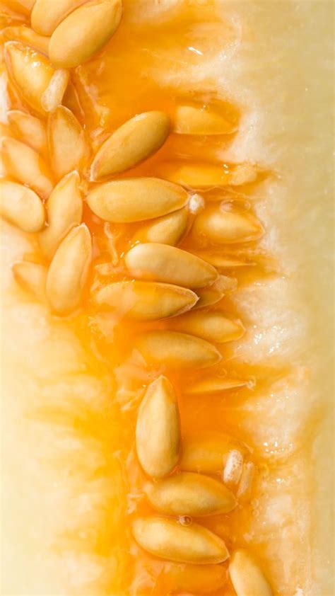 Сочная апельсиновая ломтик с семенами