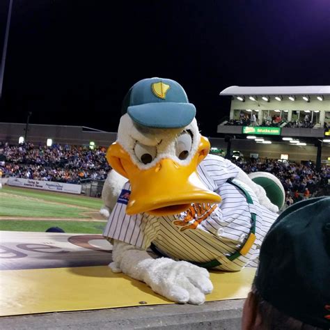 Ducks Redux