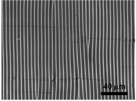 Janus Microsphere Array Of Excellent Uniformity And Preparation Method