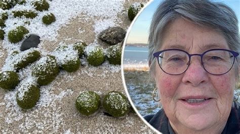 Gunilla Hittade Märkliga Gröna Bollar På Stranden Naturmorgon