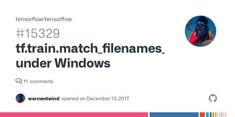 Tftrainmatchfilenamesonce Under Windows · Issue 15329
