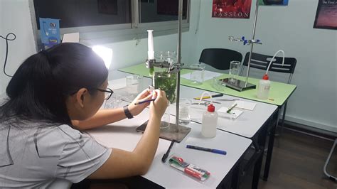 mock practical exam pure biology singapore learner