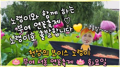 노랭이 탑공연팀 부여 연꽃축제 힘을내요 슈퍼파워 월요일 Youtube