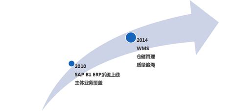 Sap Business One Erp Sap Sap