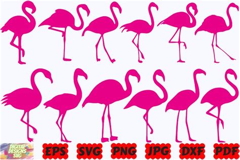Flamingo Svg Pink Flamingo Svg Bird Svg Flamingo Float
