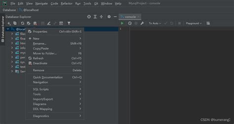 datagrip使用入门 导出数据（四） （使用datagrip连接sql） 编程库