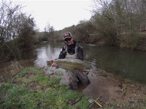 North Georgia Fly Fishing Moutaintown Trout Elijay