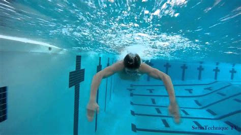 Butterfly Swimming Technique How To Swim Butterfly Ω Gongquiz Blog