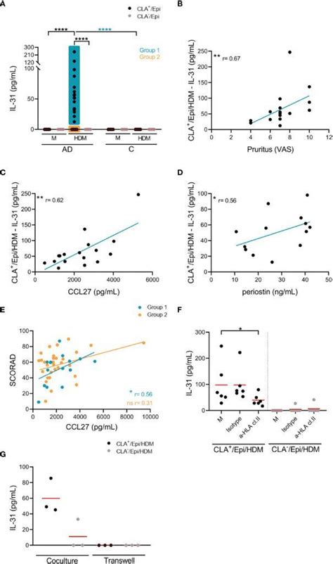 Allergen Sensitization Insights Into Atopic Dermatitis And Other Skin
