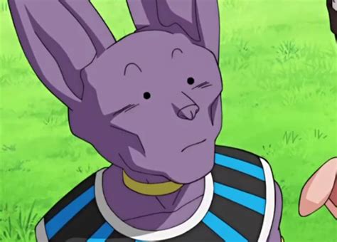 Beerus Dragon Ball Know Your Meme