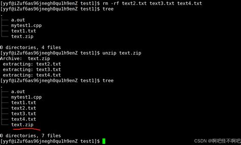 Linux常见指令介绍下(入门级) Csdn博客 Linux常见指令介绍下(入门级) Csdn博客