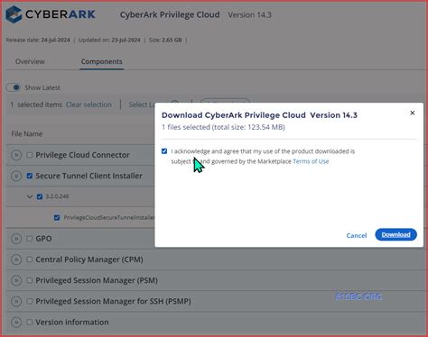 Upgrade Cyberark Pam Components Secure Tunnel Identity Connector Connector Mgmt Agent Cpm