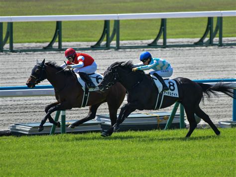すずメ🇦🇹競馬 On Twitter 京都競馬場オープニングレース勝ち馬ウィズユアドリームと吉田隼人 頑張ったアーテルナイトと川田将雅
