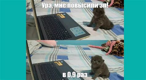 Задачи по Data Science от Tproger и Geekbrains