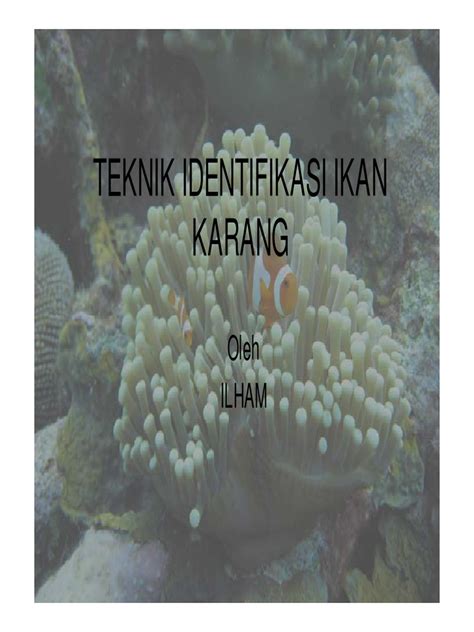 pdf panduan dasar ikan karang tns [read only] [compatibility mode