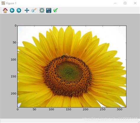 【深度学习与神经网络】tensorflow训练自己的分类模型tensorflow2如何训练自定义模型 Csdn博客