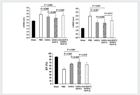 Parameters Of Lv Function And Wall Motion By Echocardiography Results Download Scientific