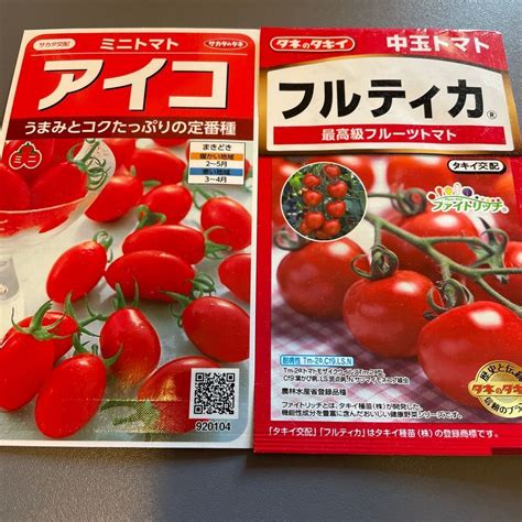 未使用ミニトマトの種 2種類セット アイコ フルティカ 家庭菜園 食べ比べ プチトマト 種のみ送付 種袋無しの落札情報詳細