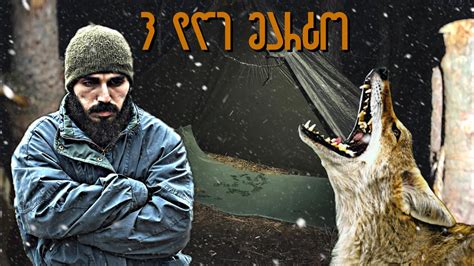 3 დღე ტყეში თოვლში და წვიმაში ყველაზე საშიში ყმუილი Youtube