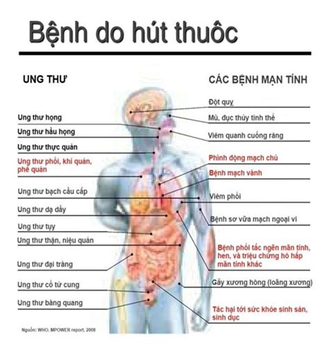 Nguy Cơ Mắc Các Loại Ung Thư Do Hút Thuốc Lá Trạm Y Tế Phường 1