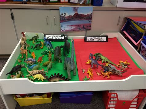 Sorting Carnivores And Herbivores Herbivore And Carnivore