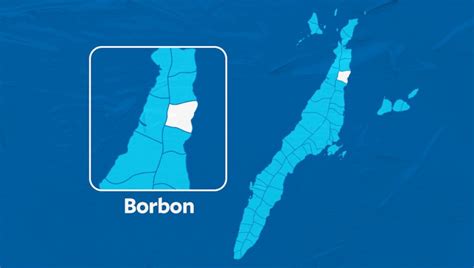Borbon Vice Mayor Dismissed For Grave Misconduct