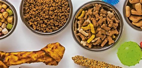 Conoce los tipos de alimento para mascotas que existen y cuál es la