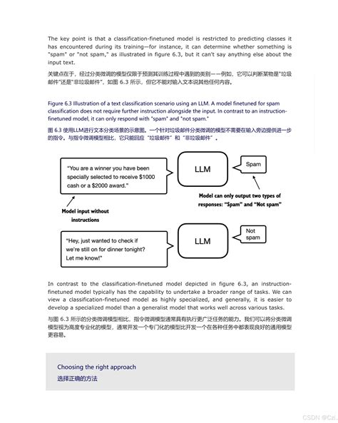 build a large language model from scratch 第六章 gpt 4o翻译版 csdn博客