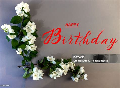 엽서 인터넷 배너 생일 인사와 평면 누워 비문 생일 축하 아름다운 화이트 재스민 꽃 Brand Name Online