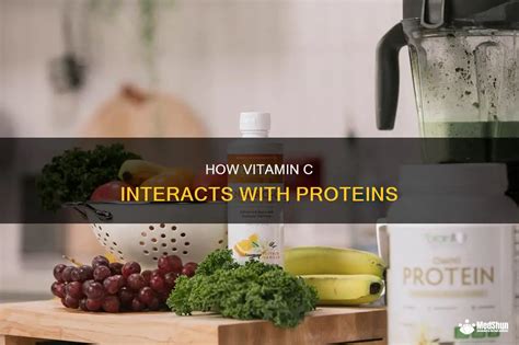 How Vitamin C Interacts With Proteins Medshun