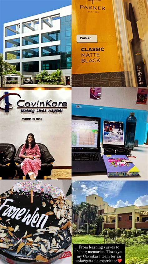 deborah susan aniyan on linkedin internship cavinkareprivatelimited