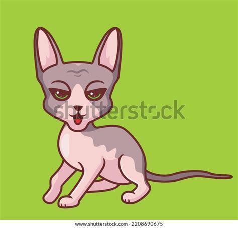 Cute Cat Sphinx Pose Isolated Cartoon Stock Vector Royalty Free