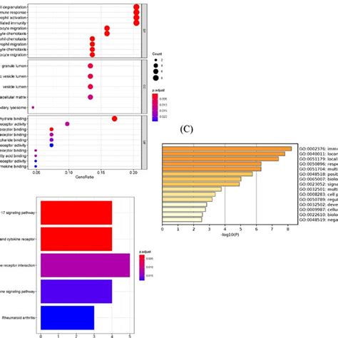 The Enrichment Analysis Of Co DEGs By The R Package ClusterProfiler And