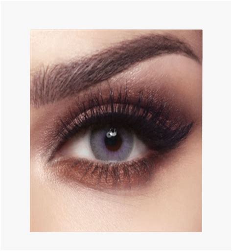 Lavender Grey Blink Optics