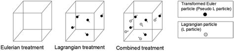 a schematic showing the computational framework of combined