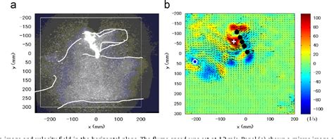 Figure 1 From Unsteady Flow Field Around A Human Hand And Propulsive Force In Swimming