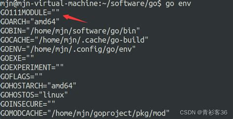 vs code配置go编译调试环境 编写menu第一版简单程序 vscode针对go语言 设置编译器 csdn博客