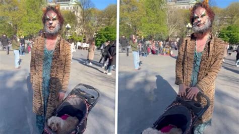 Hond Pumpkin Is Volgens Zijn Baasje Transgender Logisch Natuurlijk