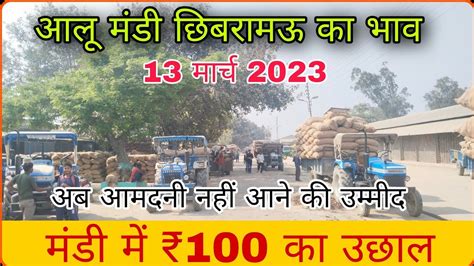 Chhibramau Mandi आलू भाव में ₹100 का उछाल Aaj Ka Aalu Ka भाव आलू