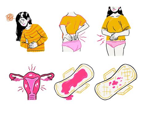 Premium Vector Woman With Menstrual Cycle Set Of Vector Illustrations Of Menstruation Cycle