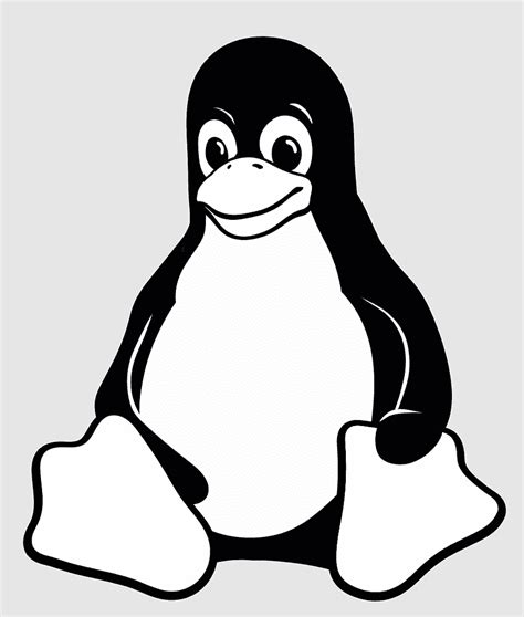 Computer Operating System Penguin