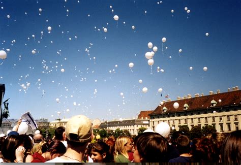 Lilly Maier The Forward