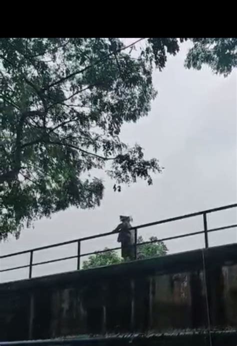 Berumur 100 Tahun Ini Sejarah Jembatan Saluran Air Di Bululawang Yang