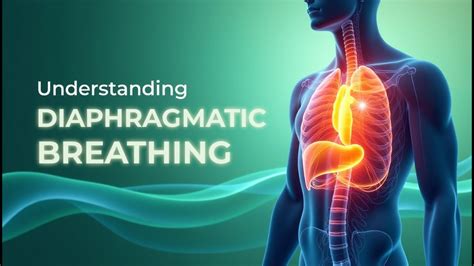 Diaphragmatic Breathing Explained Benefits And Techniques Youtube
