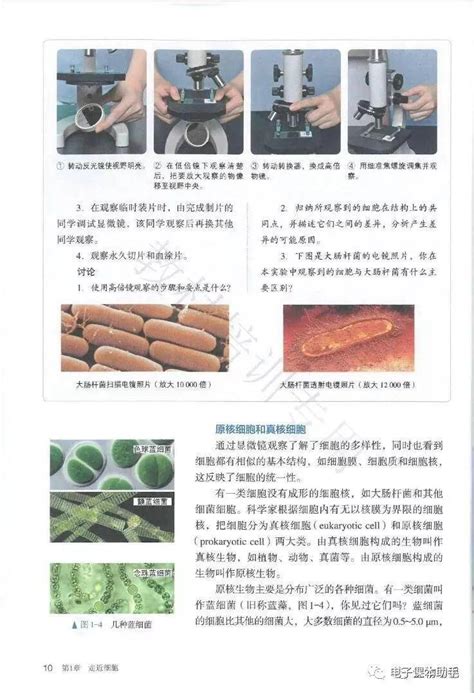 新教材人教版高中生物必修第一册电子课本（高清pdf版）资源商业行为任何理由