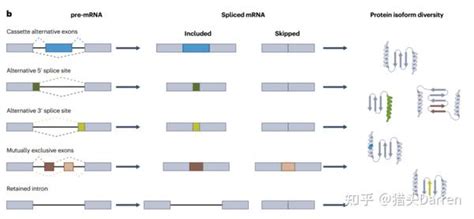 Rna